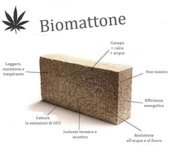 Building becomes sustainable thanks to hemp biomaterial